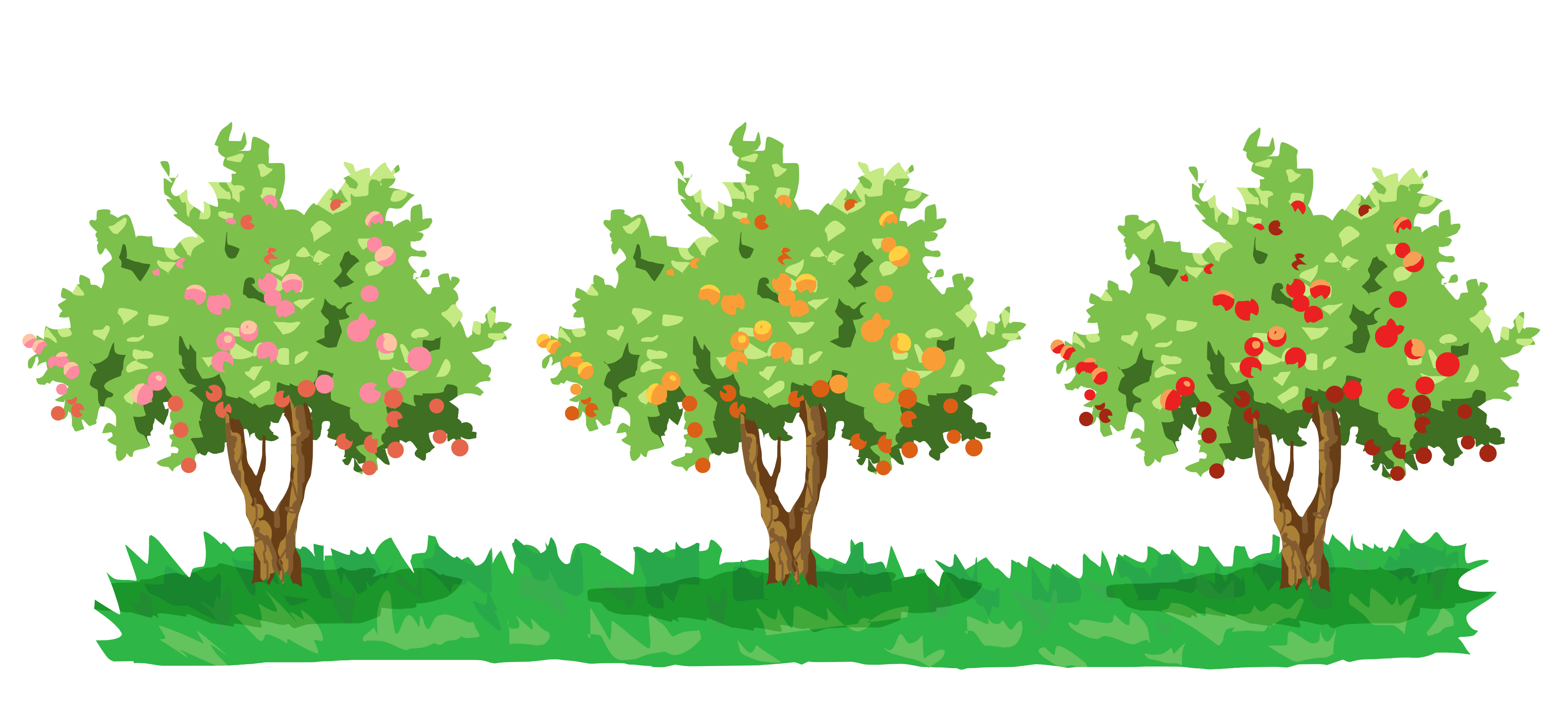 Harvest of Ideas — PoliruralPlus