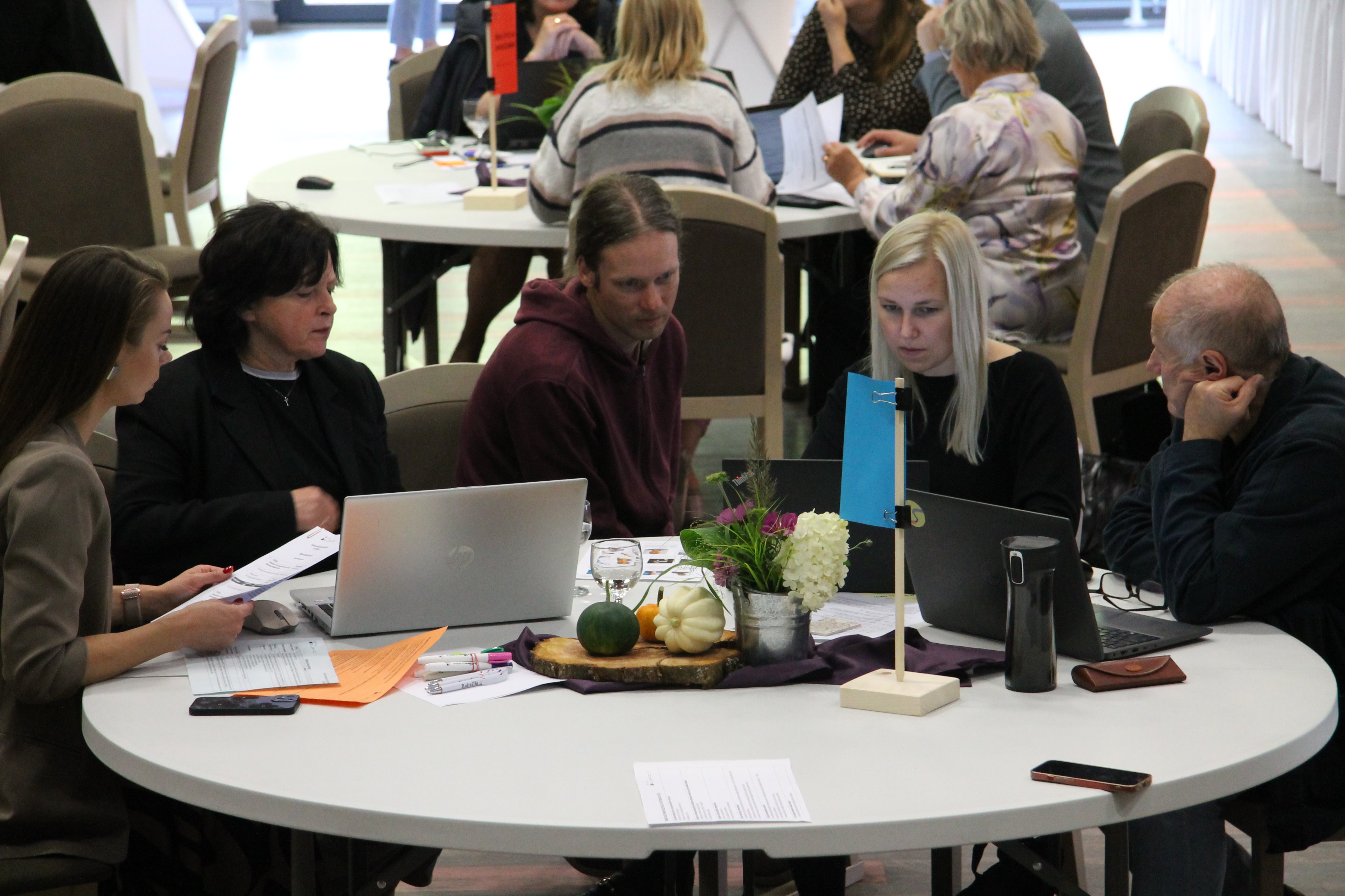 Insights from the D2D Hackathon Final Meeting in Vidzeme/Latvia ...